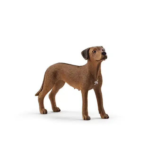 Schleich hond rhodesian ridgeback 13895 – Fietsaccessoires.nl